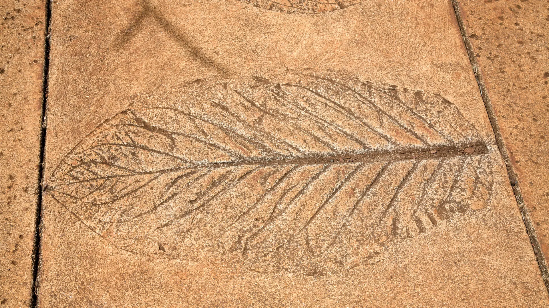 Stamped Concrete for Sustainable Landscaping